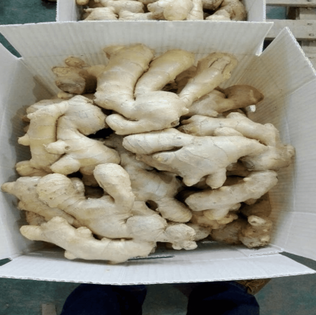 How To Store Fresh Ginger For A Long Time, Resistant To Mold